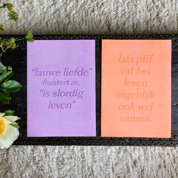 A3 posters l riso l beperkte oplage :: ruthvandesteenewoordenwinkel